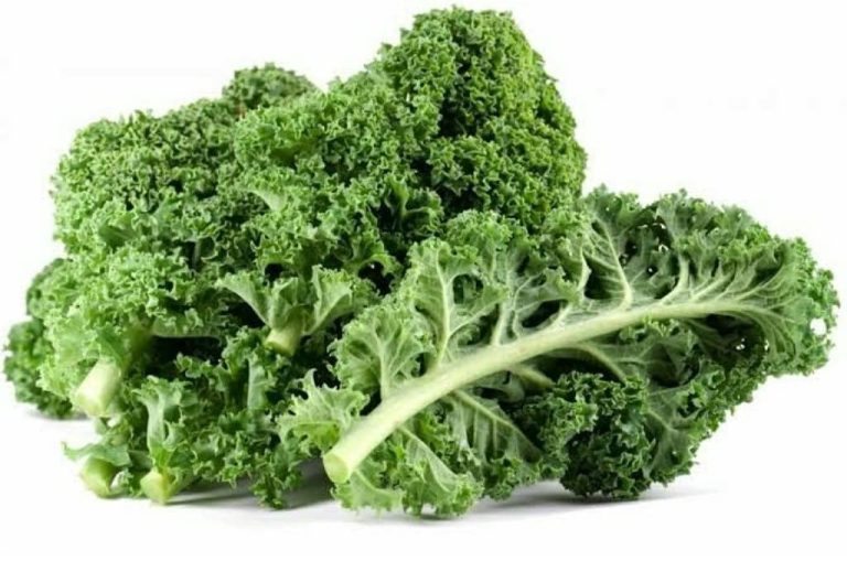 Mengenal Sayur Kale dan Manfaatnya untuk Kesehatan - Bercahaya News